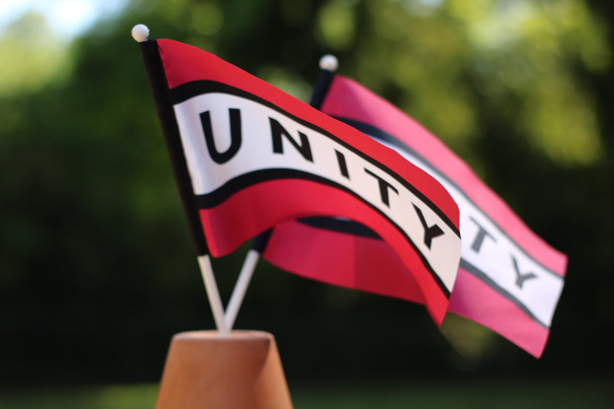 Black Unity Flag Hand Flags (2-Pack) – Black Fellowship Collection